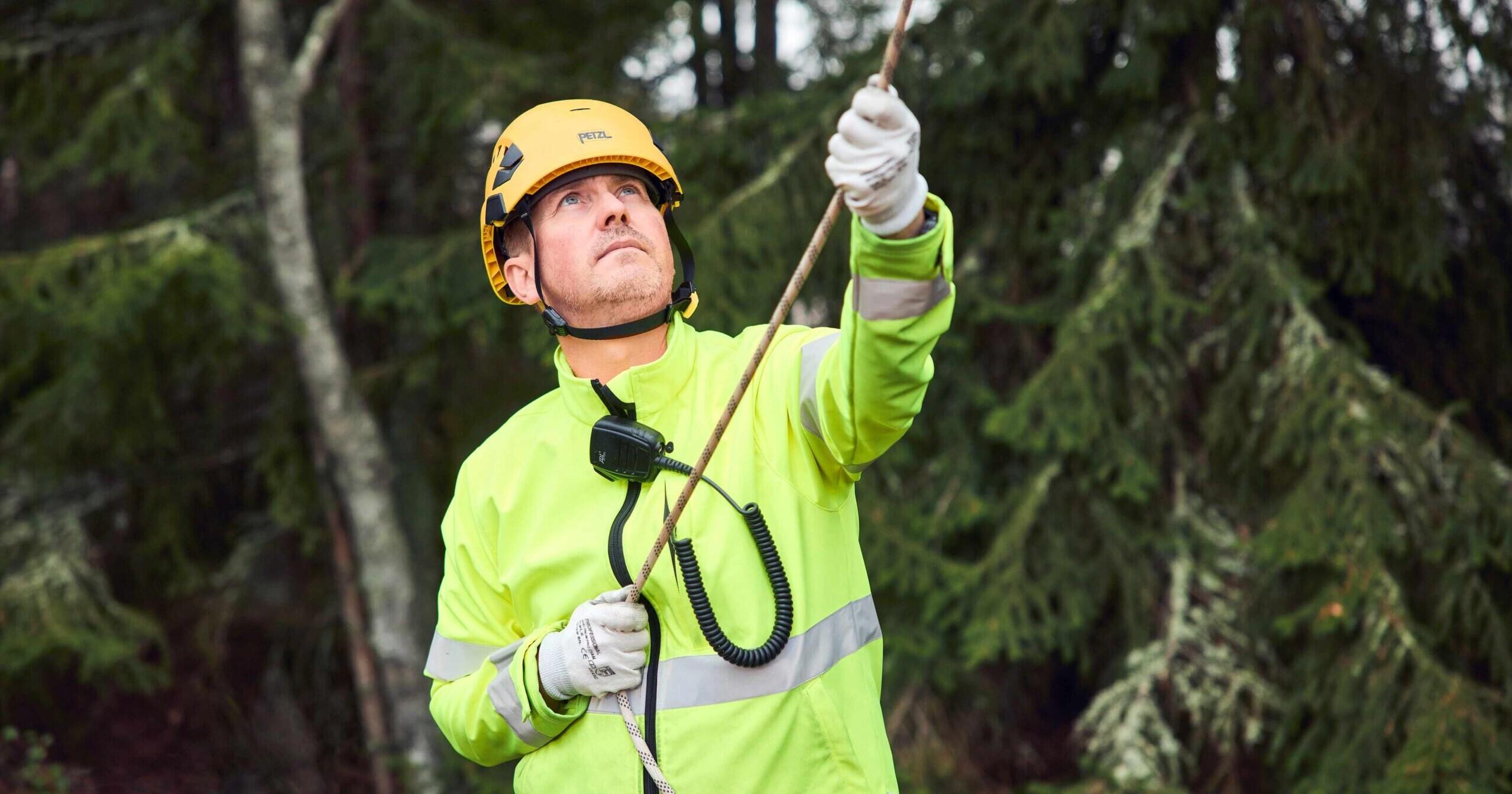 Acting for the Environment - Enersense